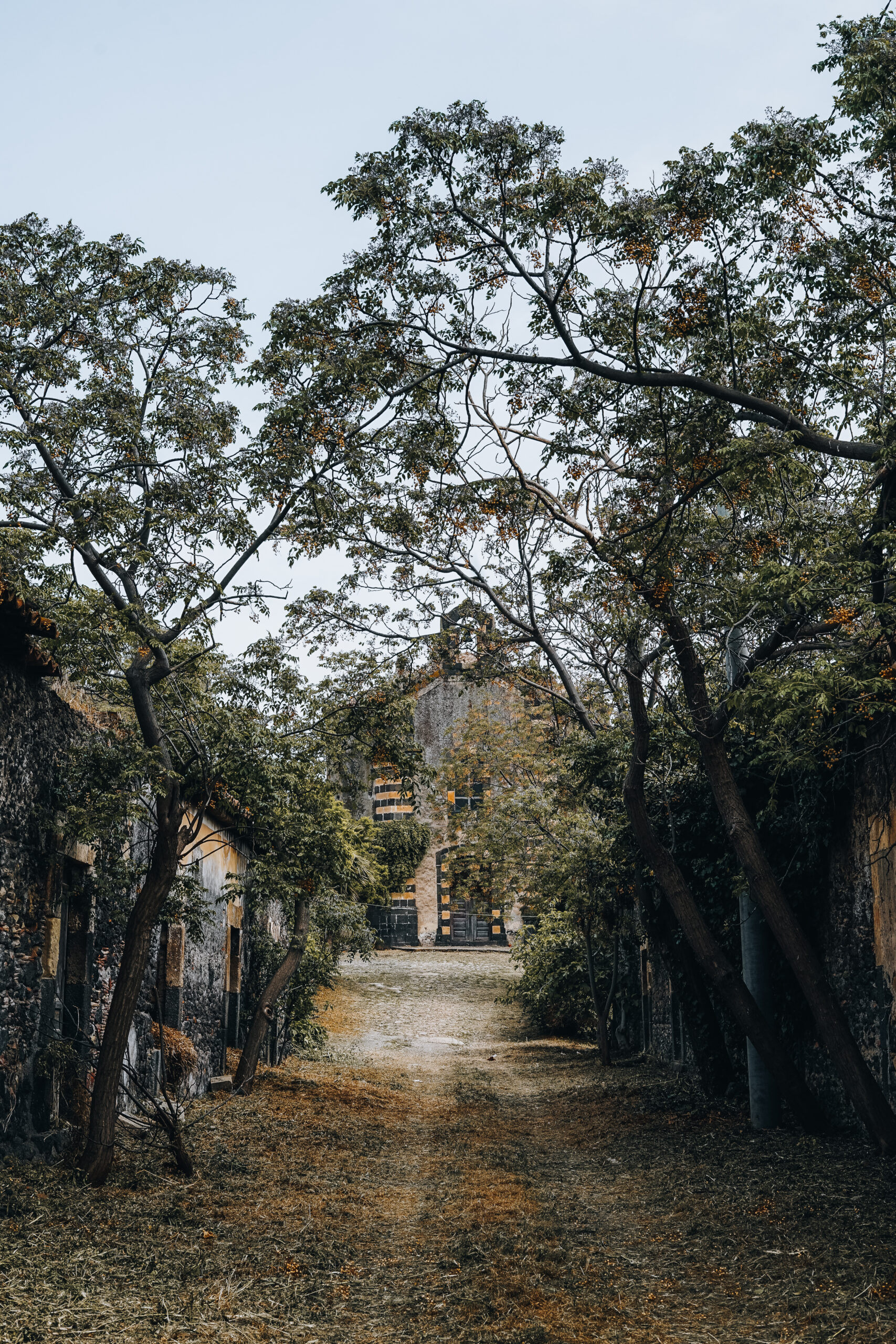 CENTURIPE, SICILY : A UNIQUE VILLAGE THAT LOOKS LIKE A PERSON – Life ...